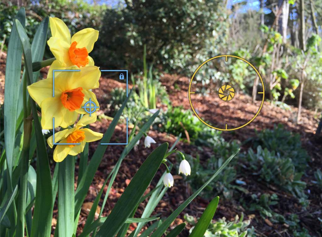 Focus on Focus - Quick Guide to Independent Focusing - ProCamera + HDR ...