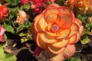 Focus on Focus - Quick Guide to Independent Focusing - ProCamera + HDR ...